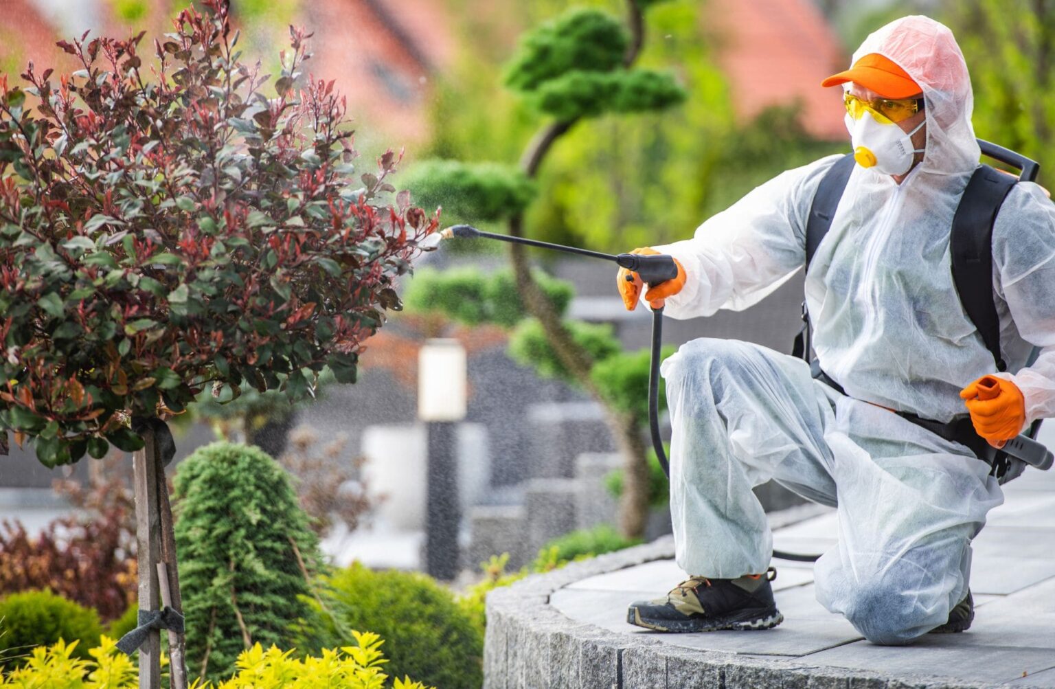 Controle biológico: uma solução sustentável para o combate de pragas ...